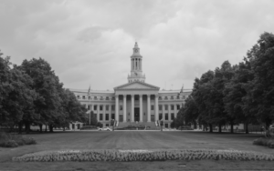 Gallery - Patten Gray