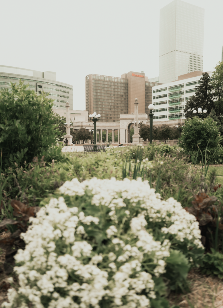 Gallery - Patten Gray