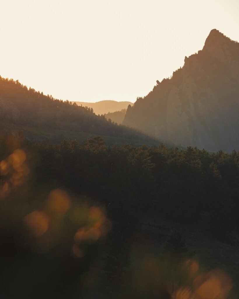 Gallery - Patten Gray